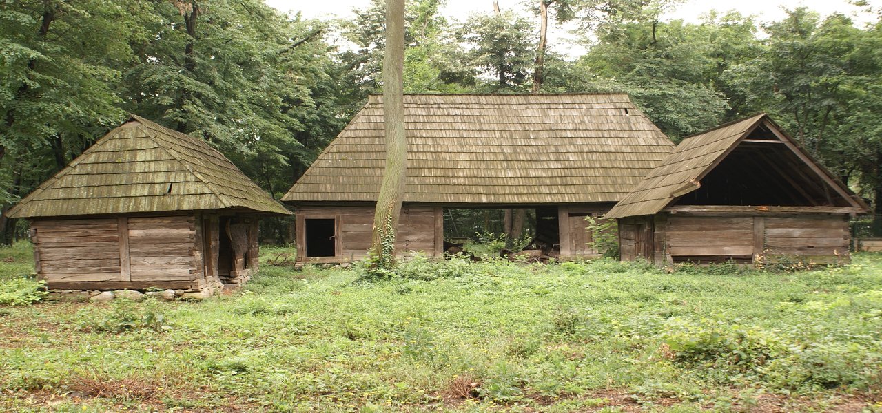 Case din lemn | Mivorprod